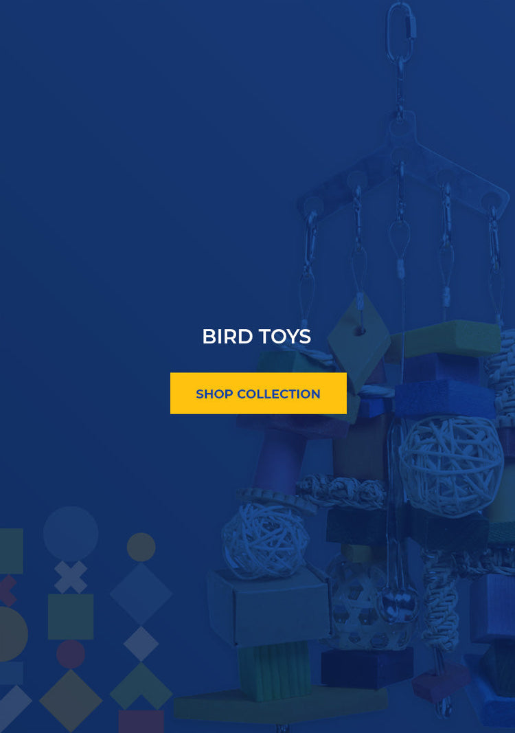 Bird Toys - Shop Quality Toys at Beaktivity
